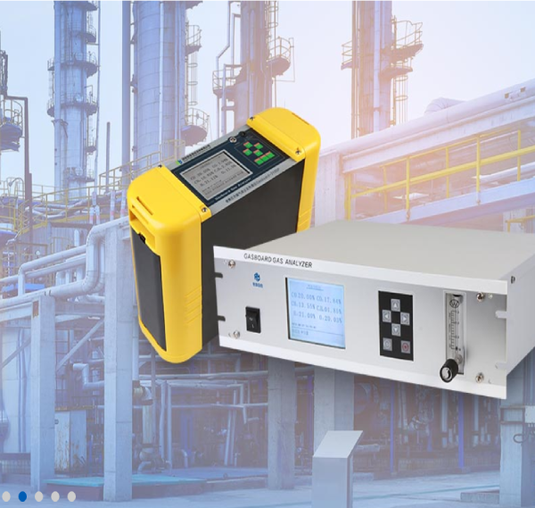 Flue Gas Analyzer
